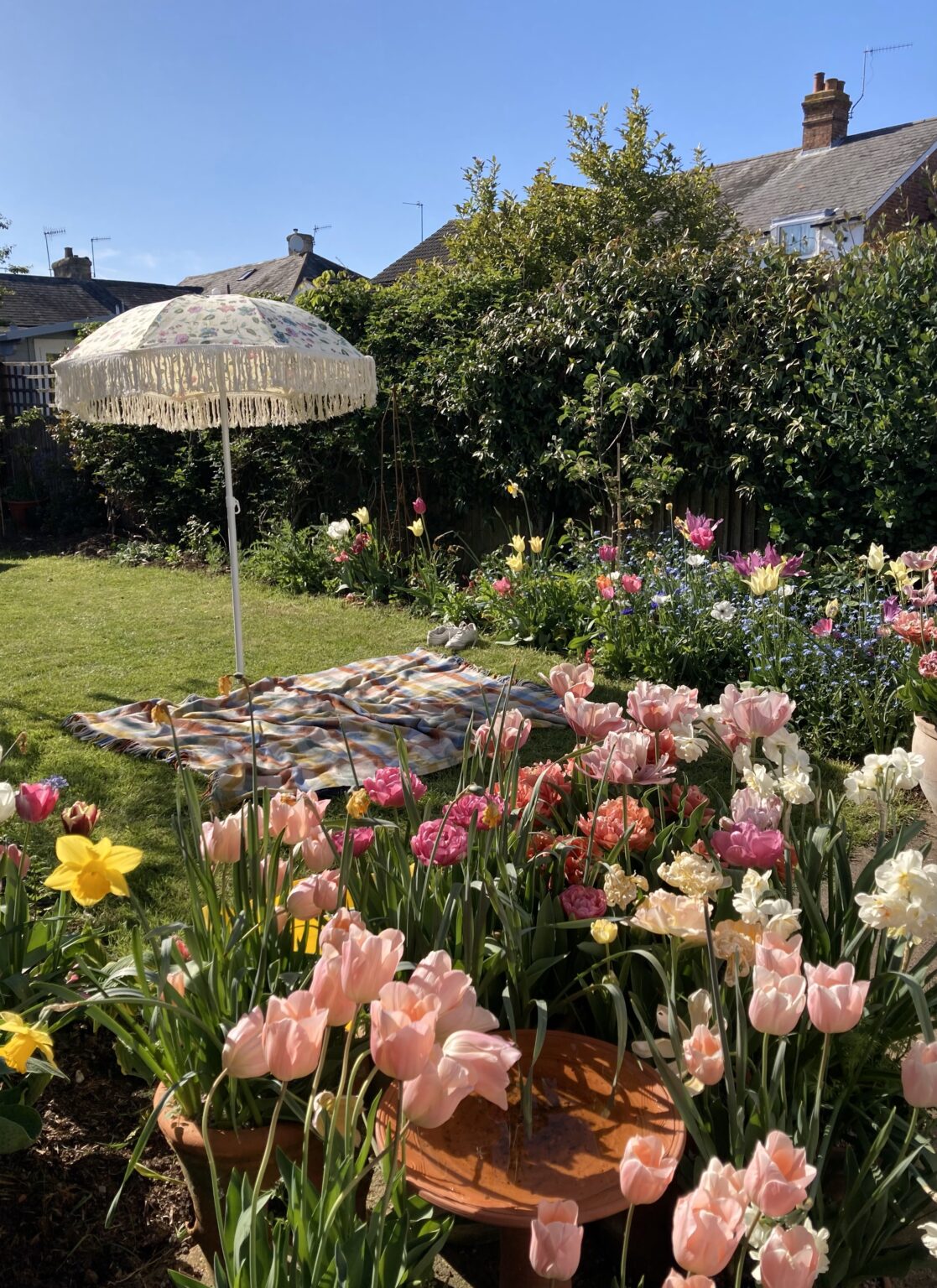 In Your Garden: Emma Jo Real-Davies - Garden Museum