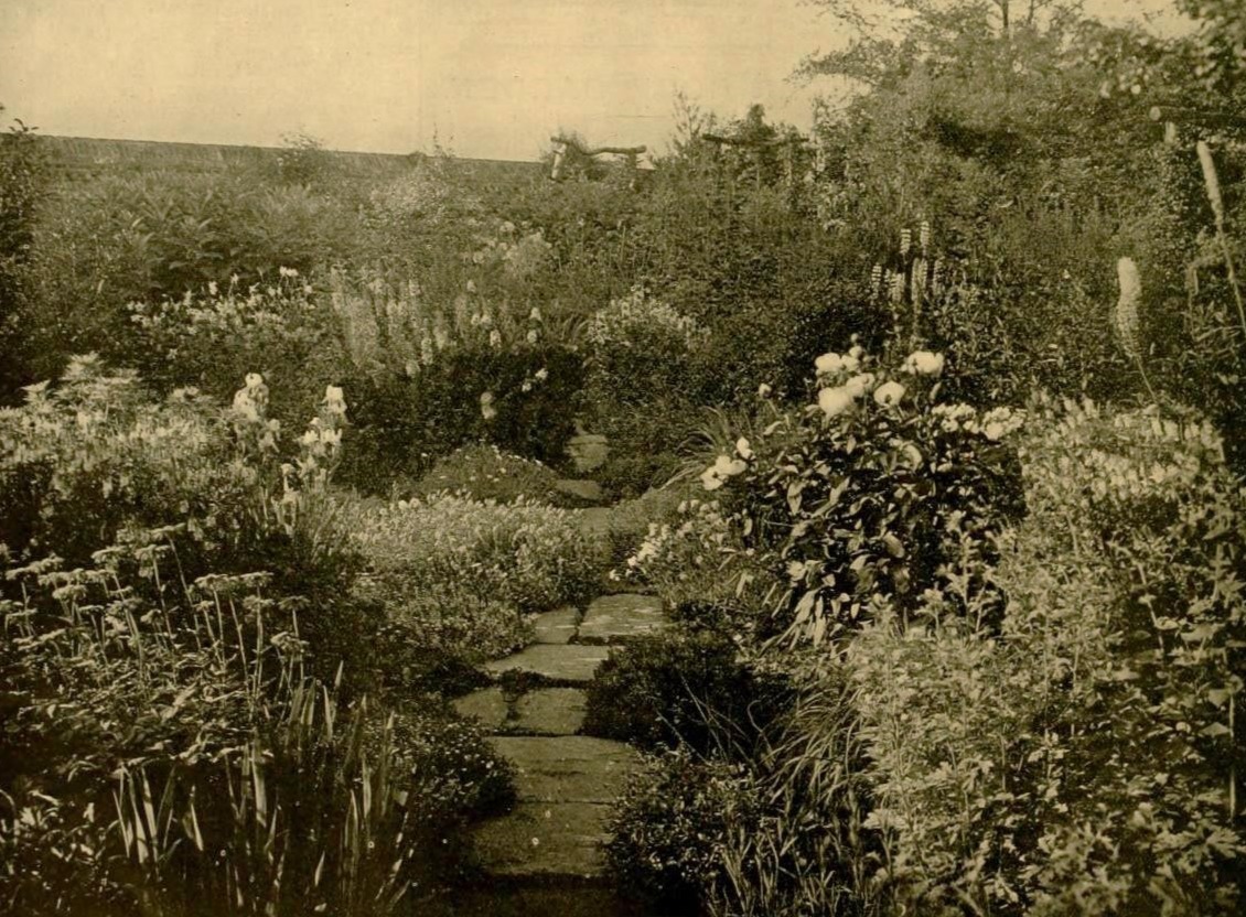 Gardeners you should know: Ellen Willmott (1858-1934) - Garden Museum