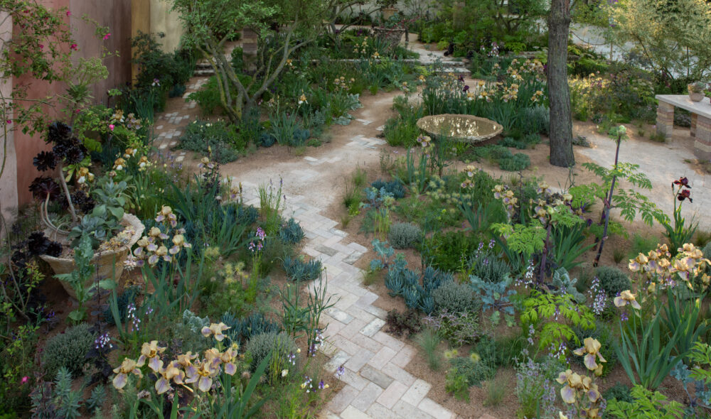 Sarah Price: Chelsea Flower Show 2023 - Garden Museum