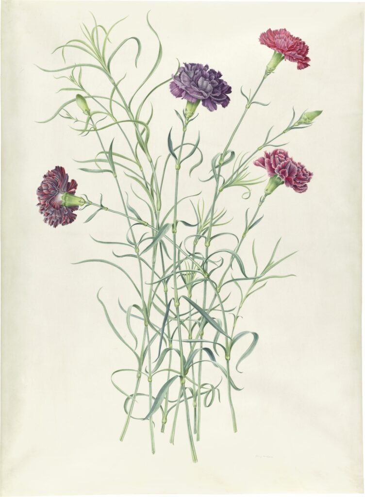 Rory McEwen: Nature's Song - Garden Museum