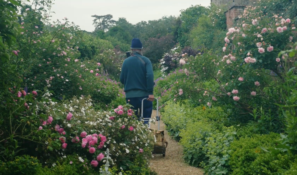 Andrew Lawson: A Portrait - Garden Museum