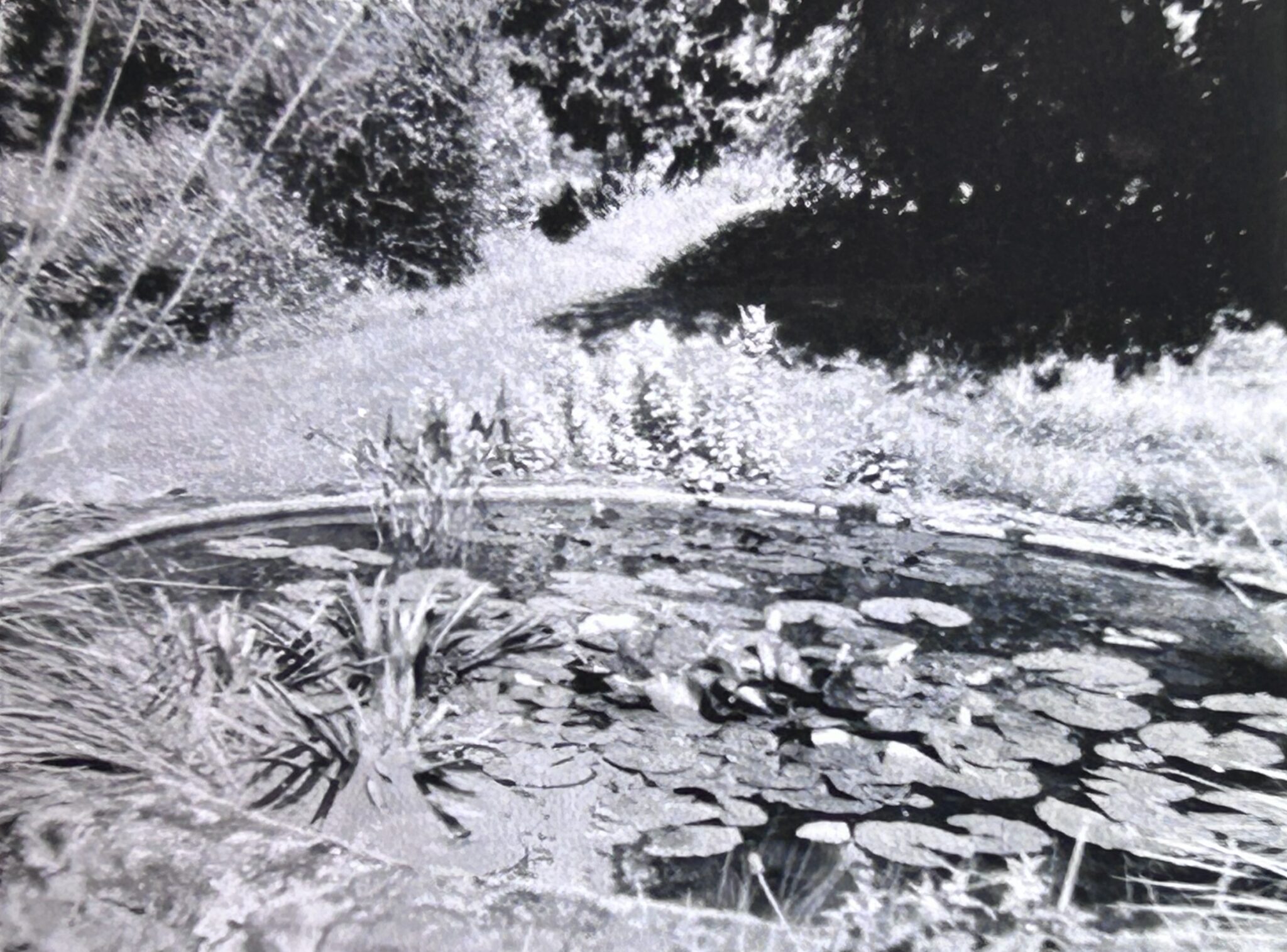 Rebuilding Cedric's Pond at Benton End - Garden Museum