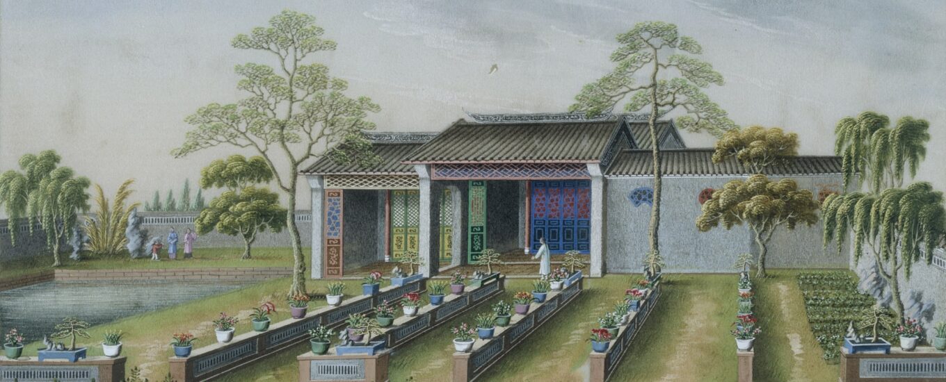 Seeds of Exchange: Canton and London in the 1700s - Garden Museum