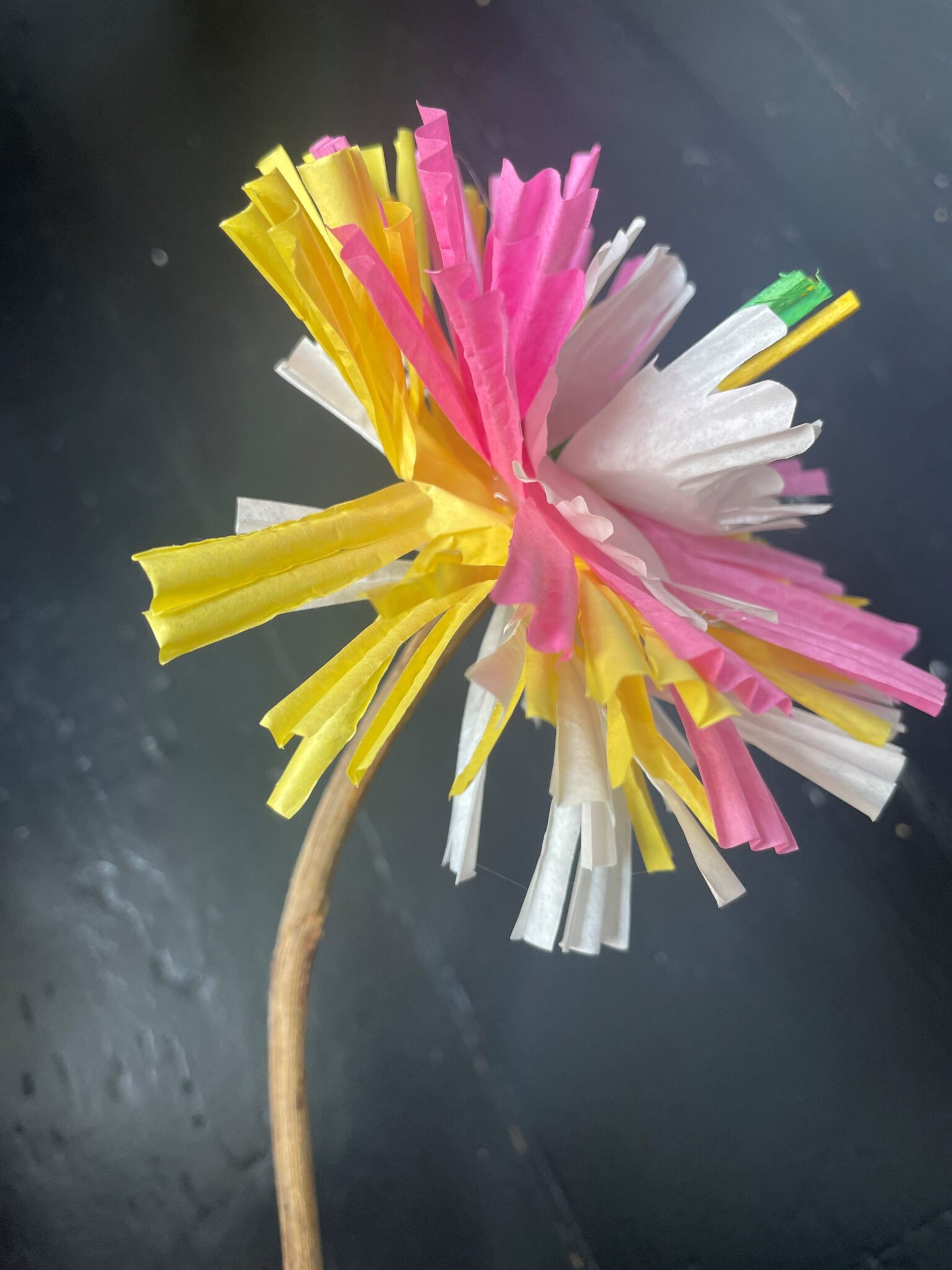 Tuesday Tots Hello Spring Storytelling - Garden Museum