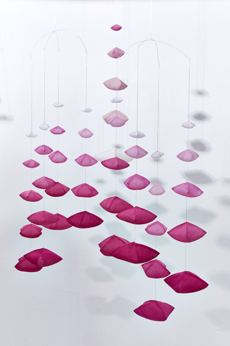Cherry Blossom Project - Garden Museum