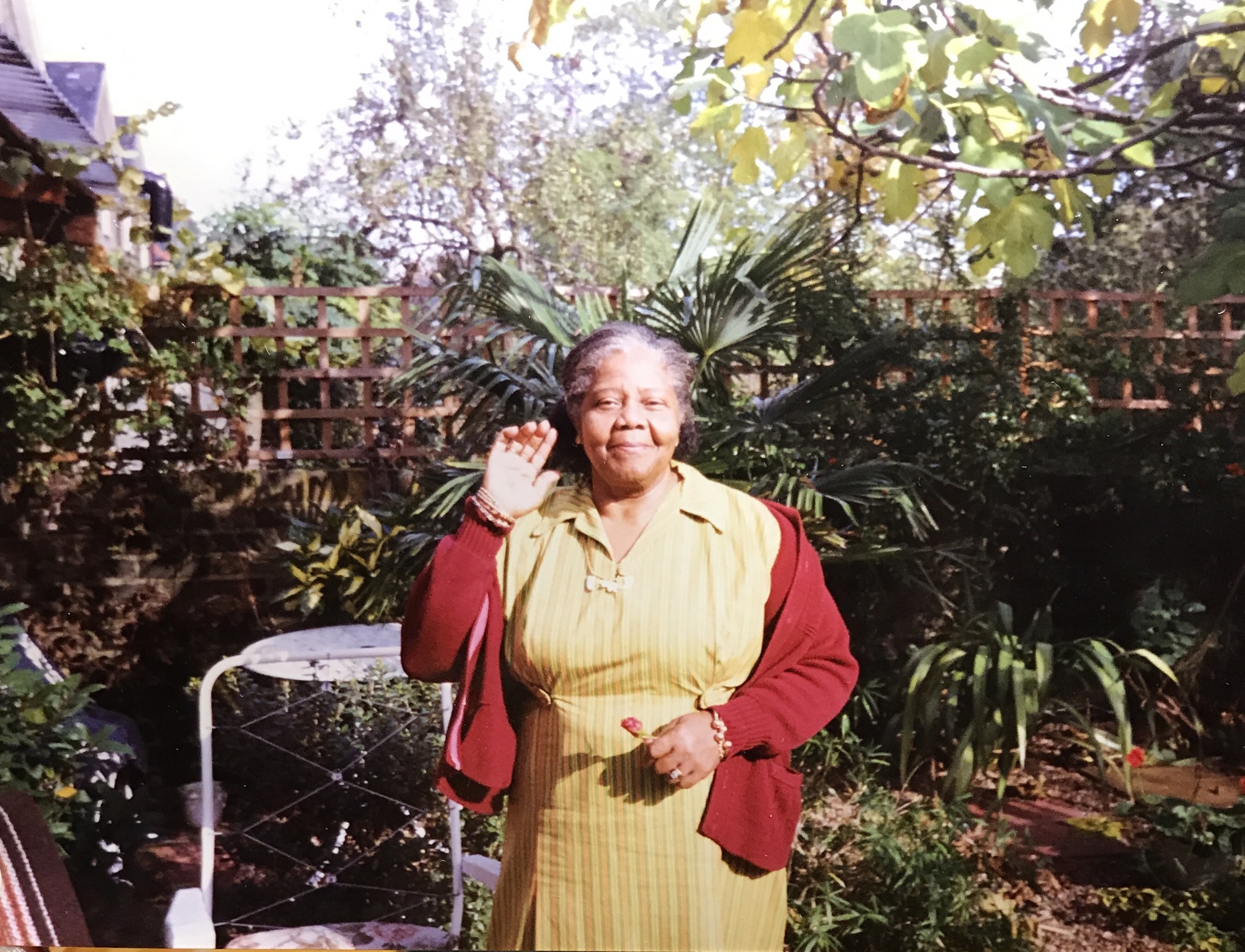 Sowing Roots: Sybil Phoenix OBE - Garden Museum