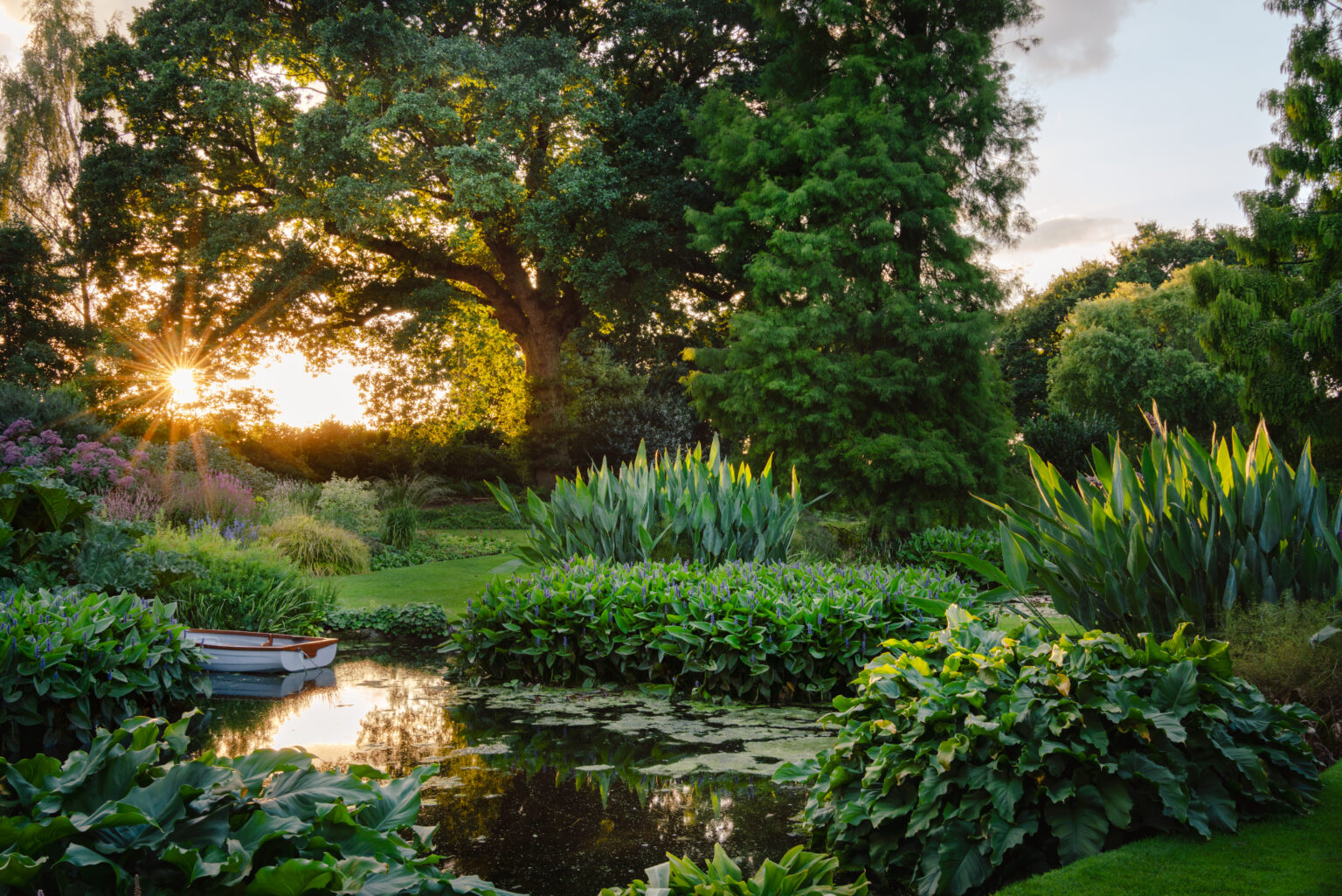 Beth Chatto’s: A plant enthusiast’s nursery - Garden Museum