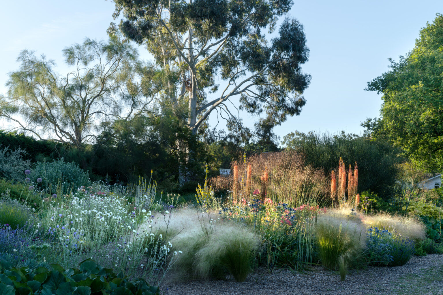 Beth Chatto’s: A plant enthusiast’s nursery - Garden Museum