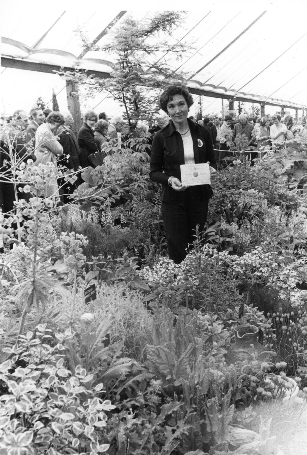 Beth Chatto’s: A plant enthusiast’s nursery - Garden Museum